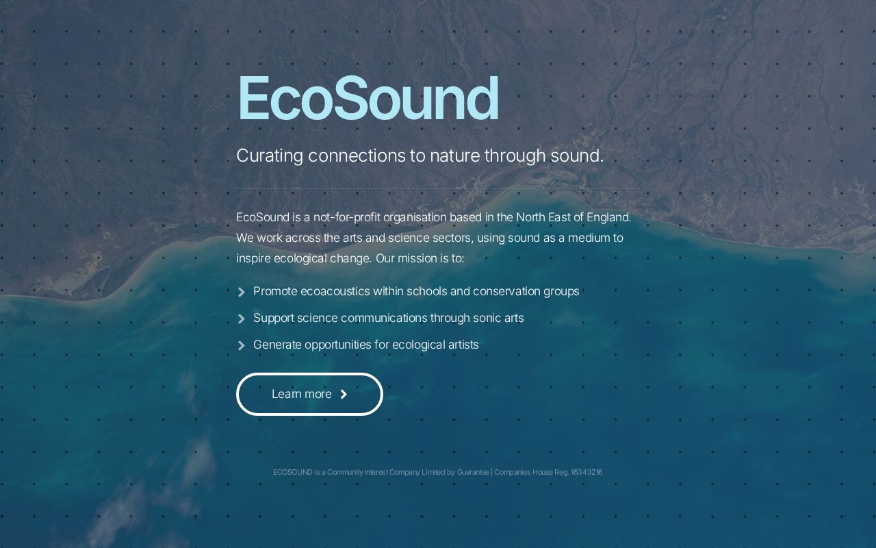 EcoSound CIC